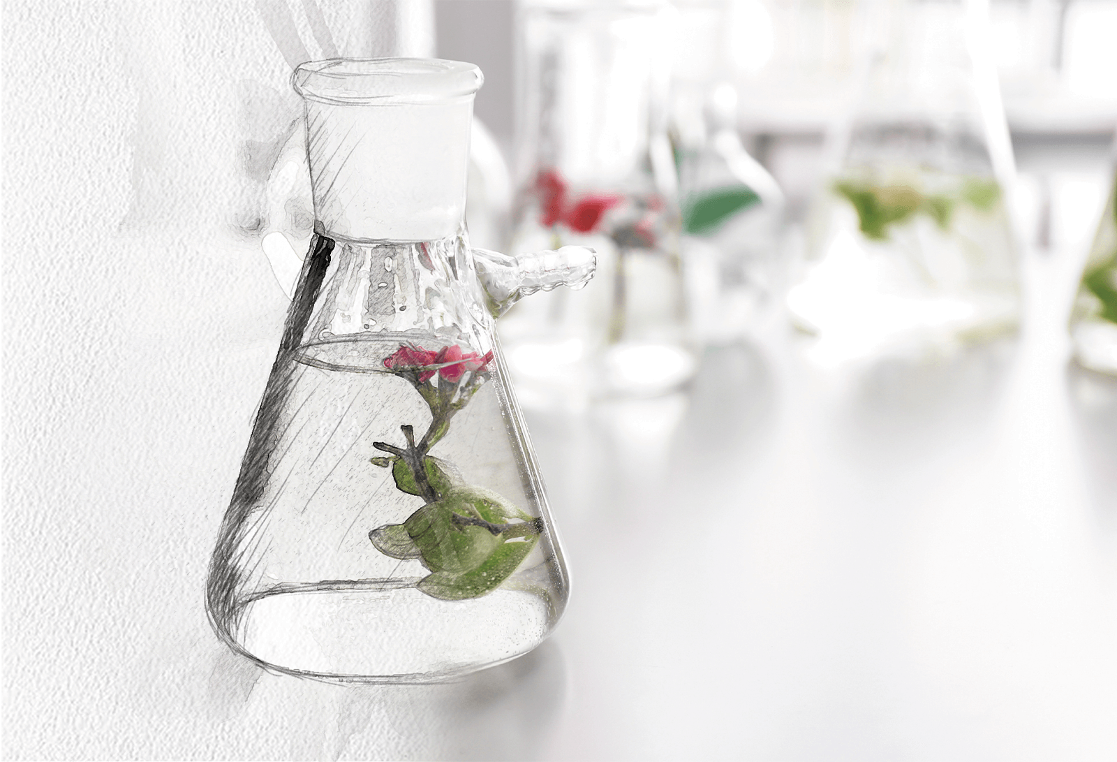 Top Strategies for Sourcing Cosmetic and Personal Care Ingredients ... Top Strategies for Sourcing Cosmetic and Personal Care Ingredients ...