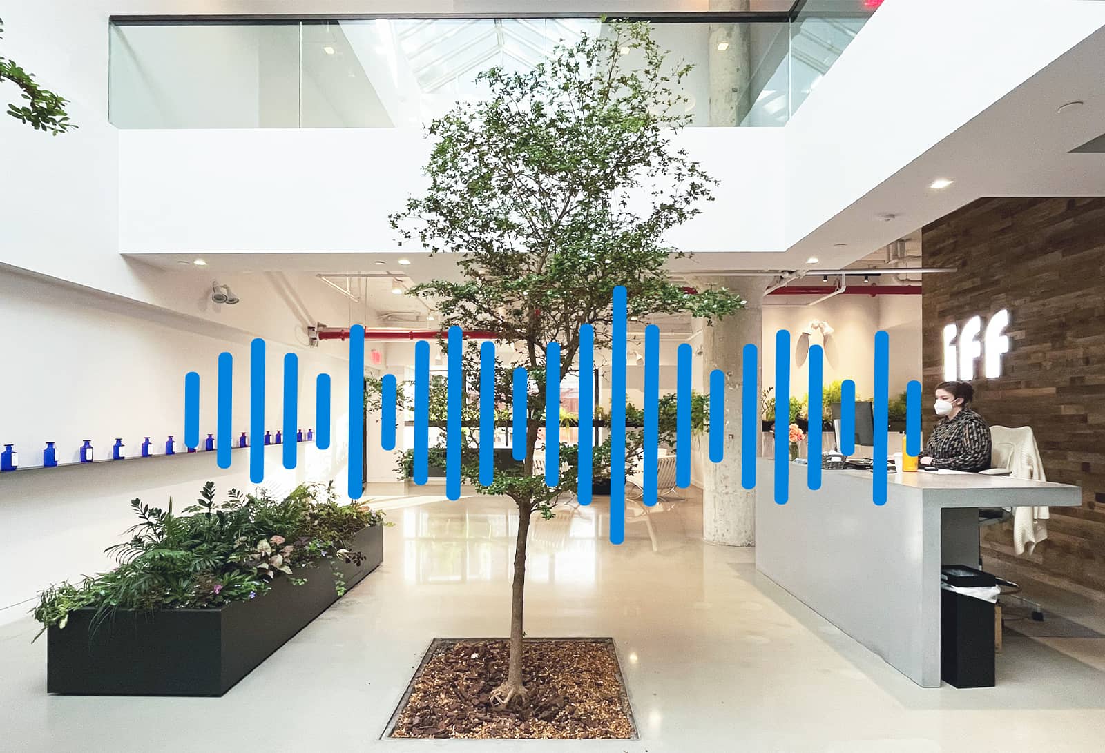 IFF's Sonic Branding with Sound Logo | BeautyMatter