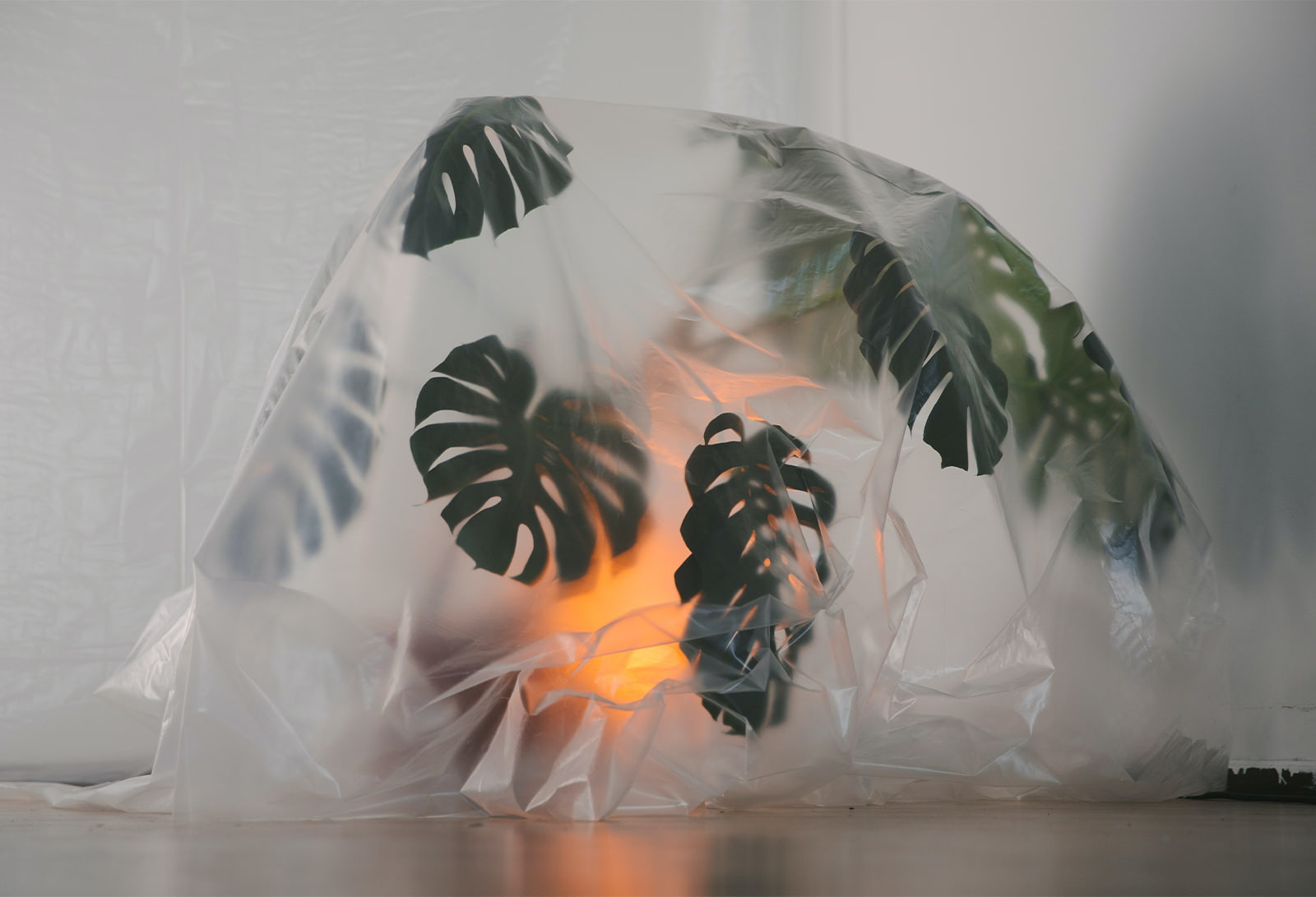 Ecopol Makes Strategic Investment in JRF Technology | BeautyMatter