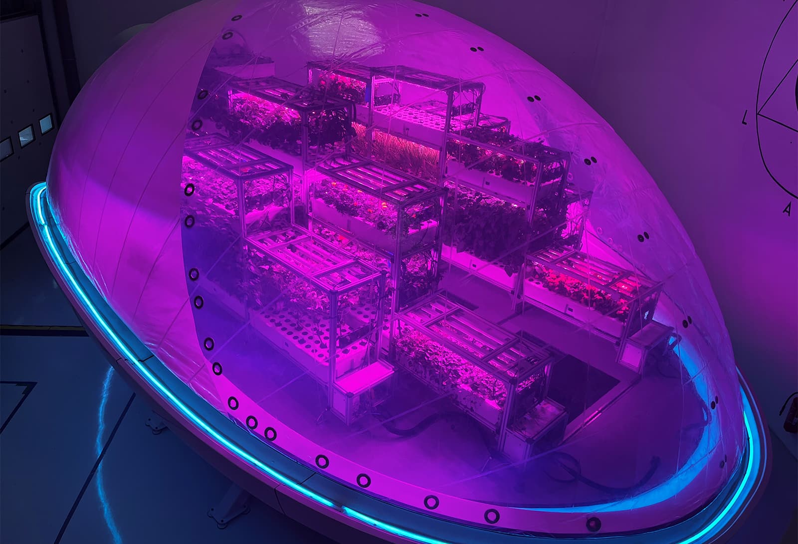 DSM-Firmenich Partners with Interstellar Lab on Biotech Fragrance ...