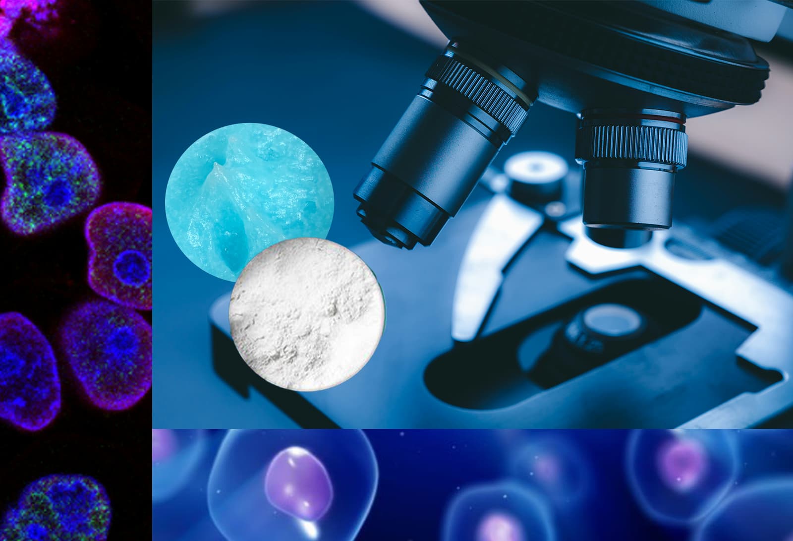 The Biggest Ingredient Trends from In-Cosmetics 2025 | BeautyMatter