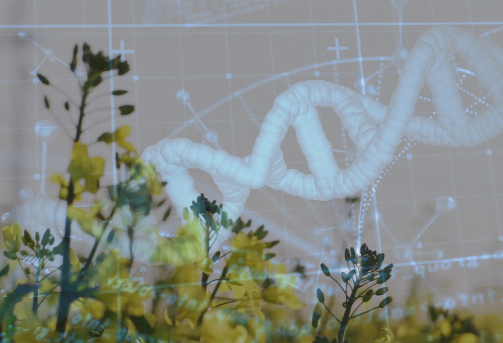 Mane Acquires ChemoSensoryx Biosciences | BeautyMatter