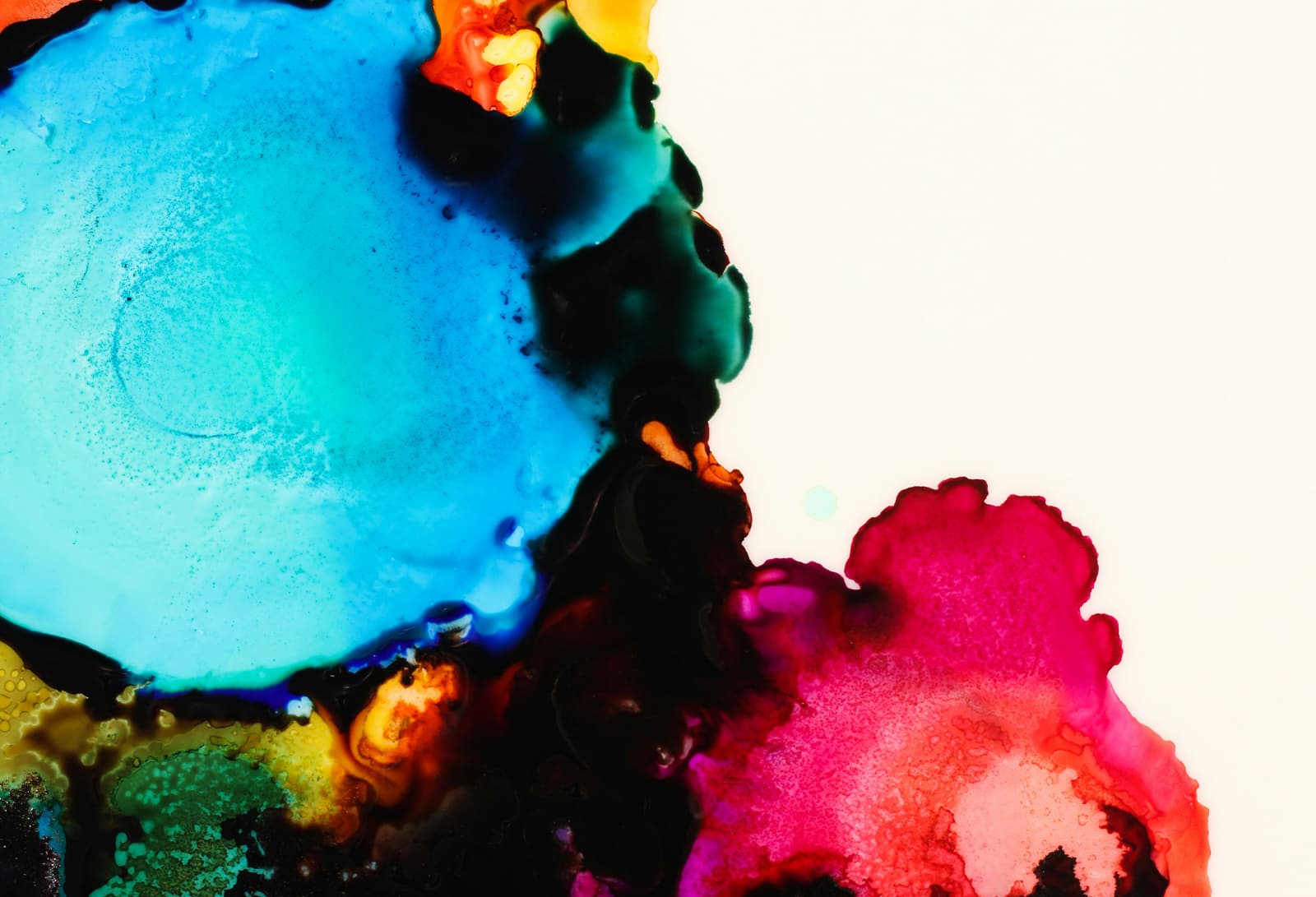 Sparxell Raises $5 Million Pre-Series A | BeautyMatter